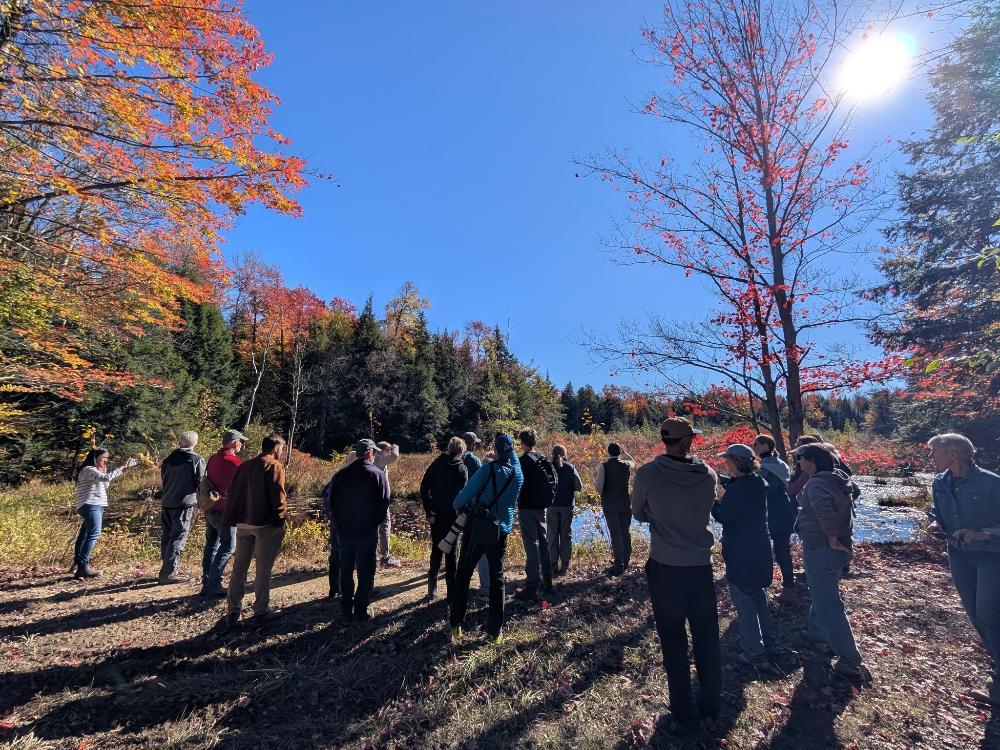 WNY Land Conservancy Opens Floating Fen Preserve | Chautauqua Today