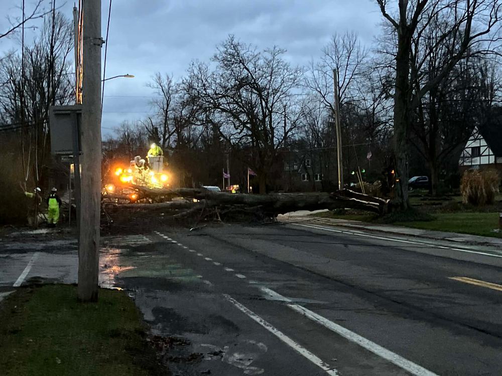 Gusty Winds Bring Down Numerous Trees and Power Lines in County ...