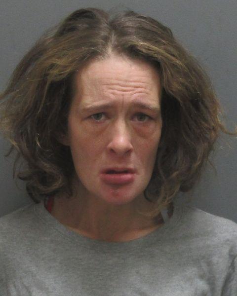Jamestown Woman Charged in Downtown Larceny Case | Chautauqua Today