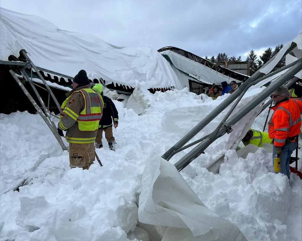 Heavy Snow Collapses Barn in Arkwright, Killing Five Cows | Chautauqua ...