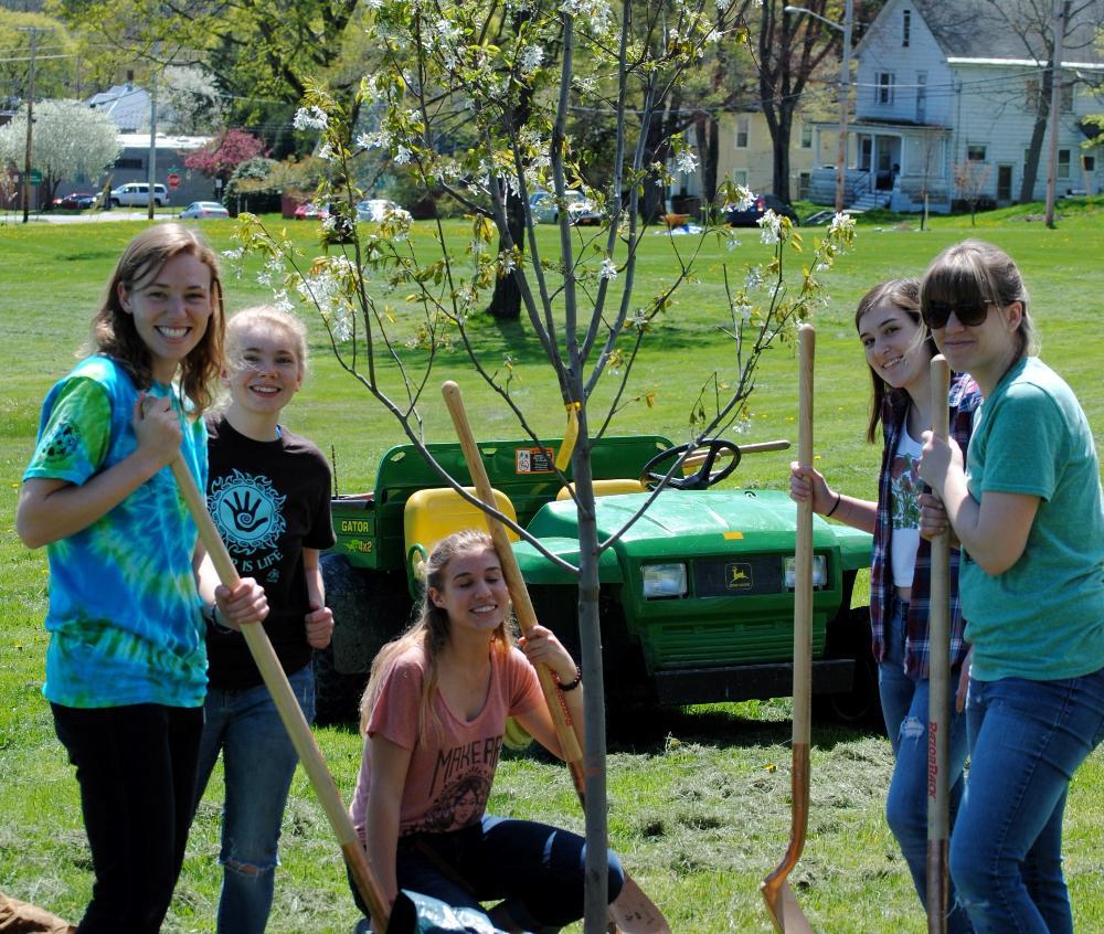 JCC Receives Tree Campus USA Designation | Chautauqua Today