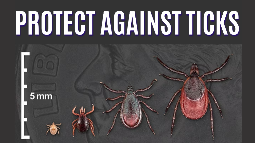County Health Department Encourages Taking Precautions Against Ticks ...
