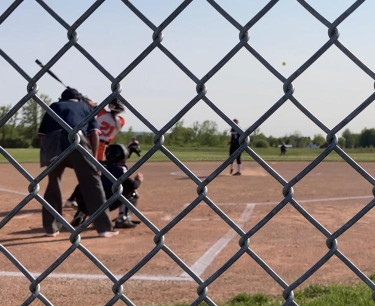 Fredonia Routs Roy-Hart in Section VI Softball Playoff Opener ...
