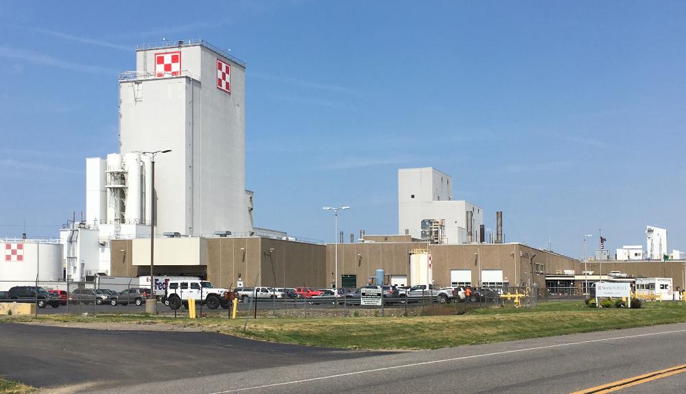 Nestlé Purina completes $19 million expansion project in Dunkirk ...