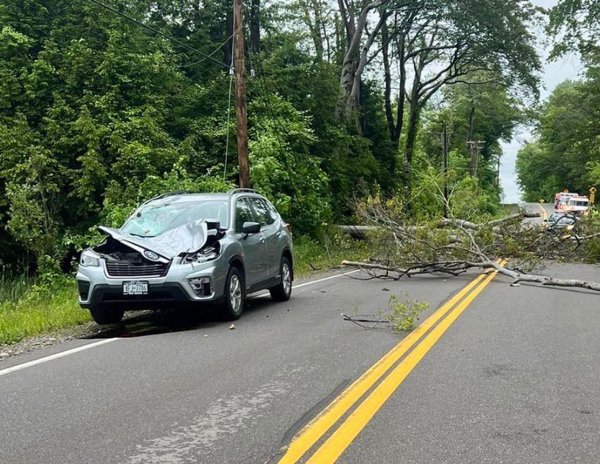 Driver Unharmed After Vehicle Gets Struck by Tree, Catches Fire in ...
