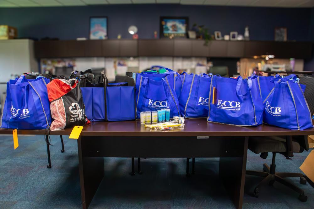 E2CCB, Local Partners Team Up to Ensure Student Access to Hygiene ...