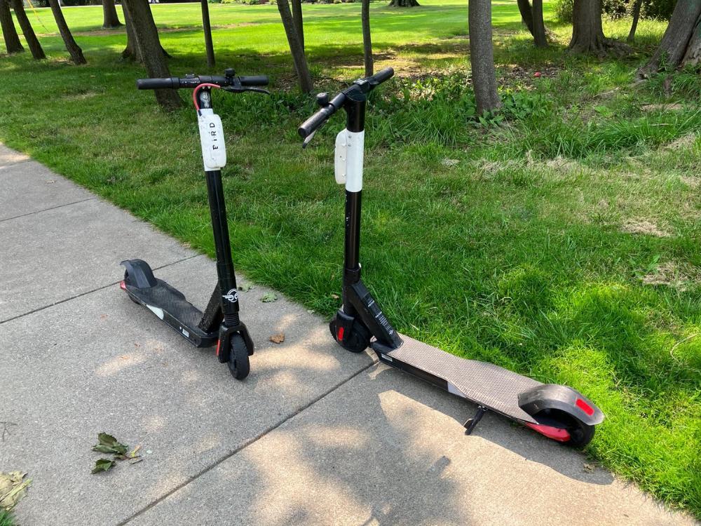 Sundquist announces launch of Bird scooters in Jamestown on September 5 ...